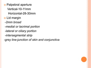Anatomy of eyeball | PPTX