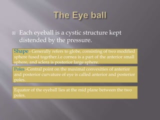 Anatomy of eyeball | PPTX