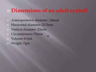 Anatomy of eyeball | PPTX