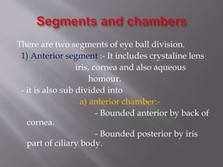 Anatomy of eyeball | PPTX