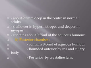 Anatomy of eyeball | PPTX