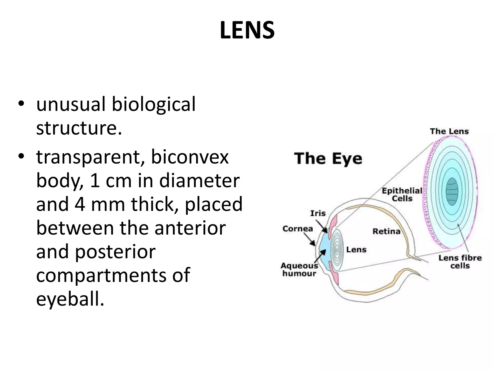 Anatomy of eyeball | PPTX