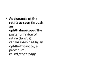 Anatomy of eyeball | PPTX | Eye and Vision Conditions | Diseases and ...