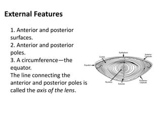 Anatomy of eyeball | PPTX