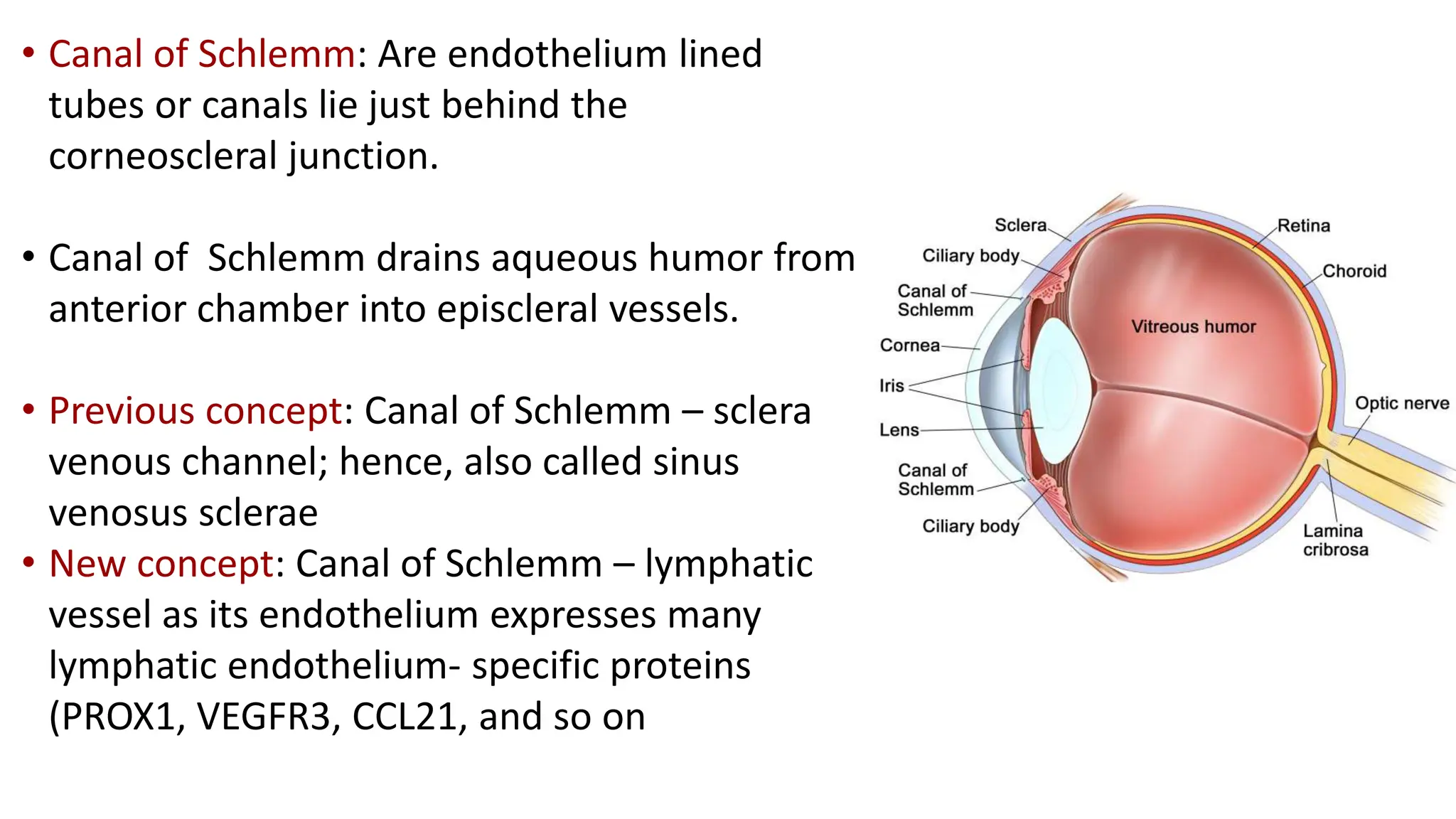 Applied Anatomy of Orbit and Eyeball.pptx