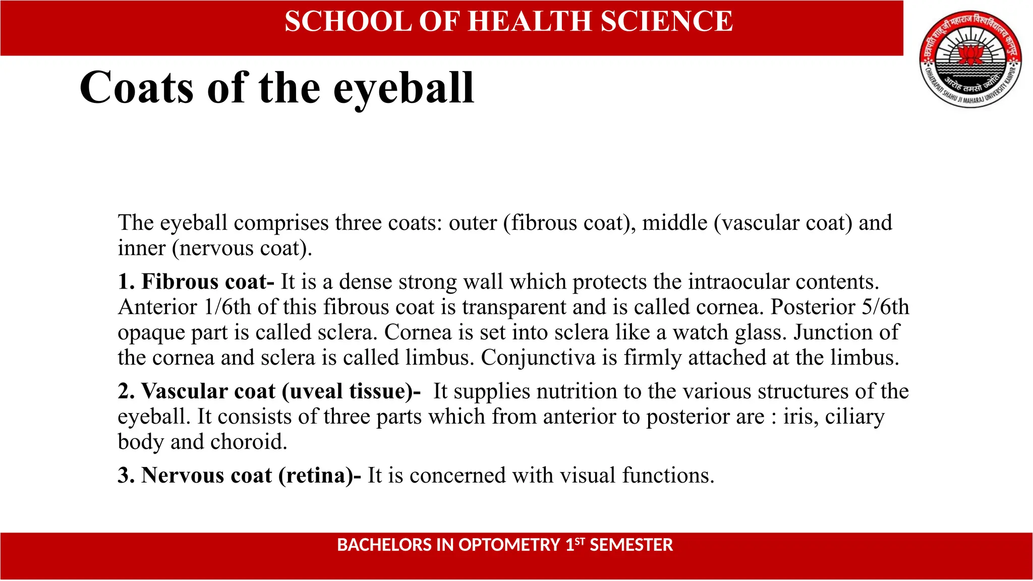 The Human Eyeball: Anatomy, Structure, and Clinical Significance | PPTX