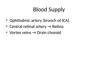 Anatomy_of_Eyeball_Presentation (1).pptx