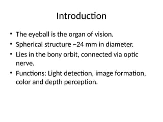 Anatomy_of_Eyeball_Presentation (1).pptx