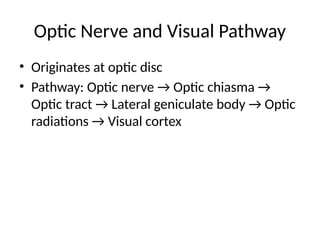 Anatomy_of_Eyeball_Presentation (1).pptx