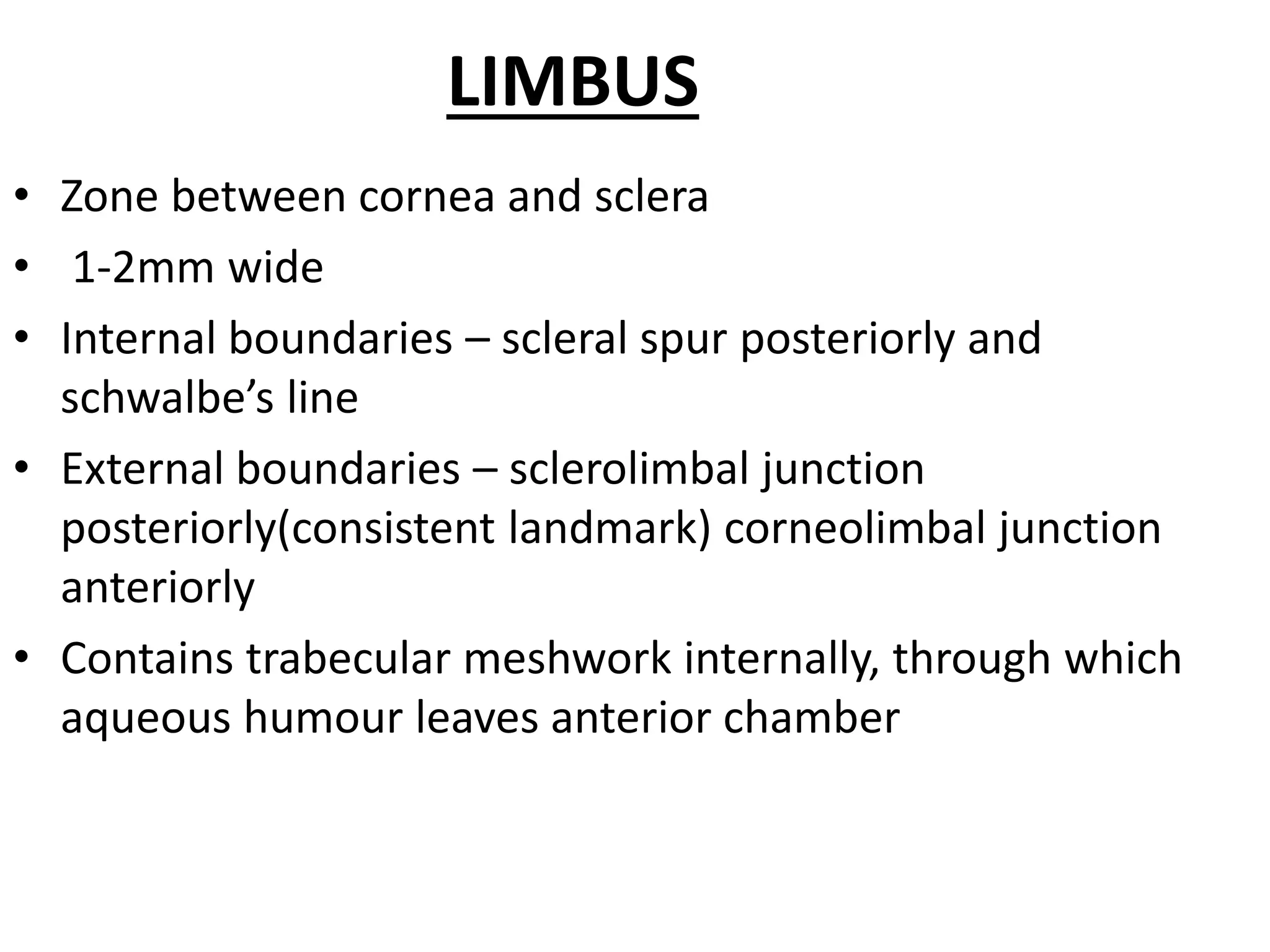 anatomy of eye copy.pptx