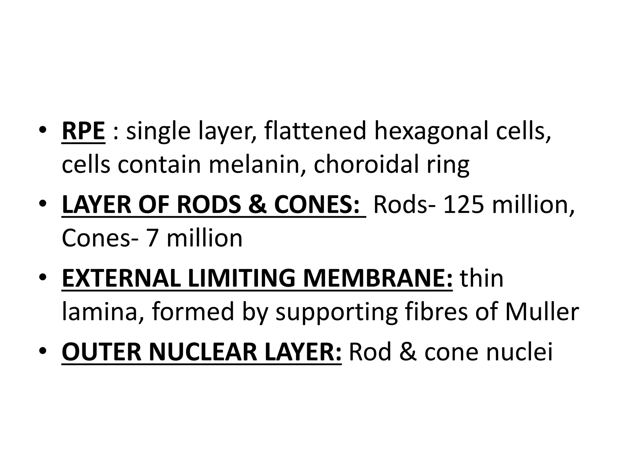 anatomy of eye copy.pptx