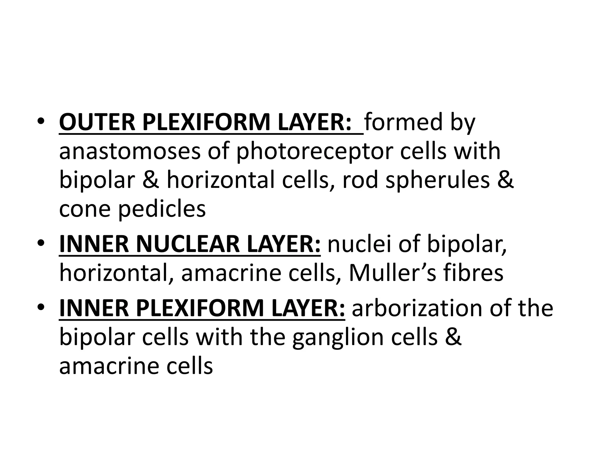 anatomy of eye copy.pptx