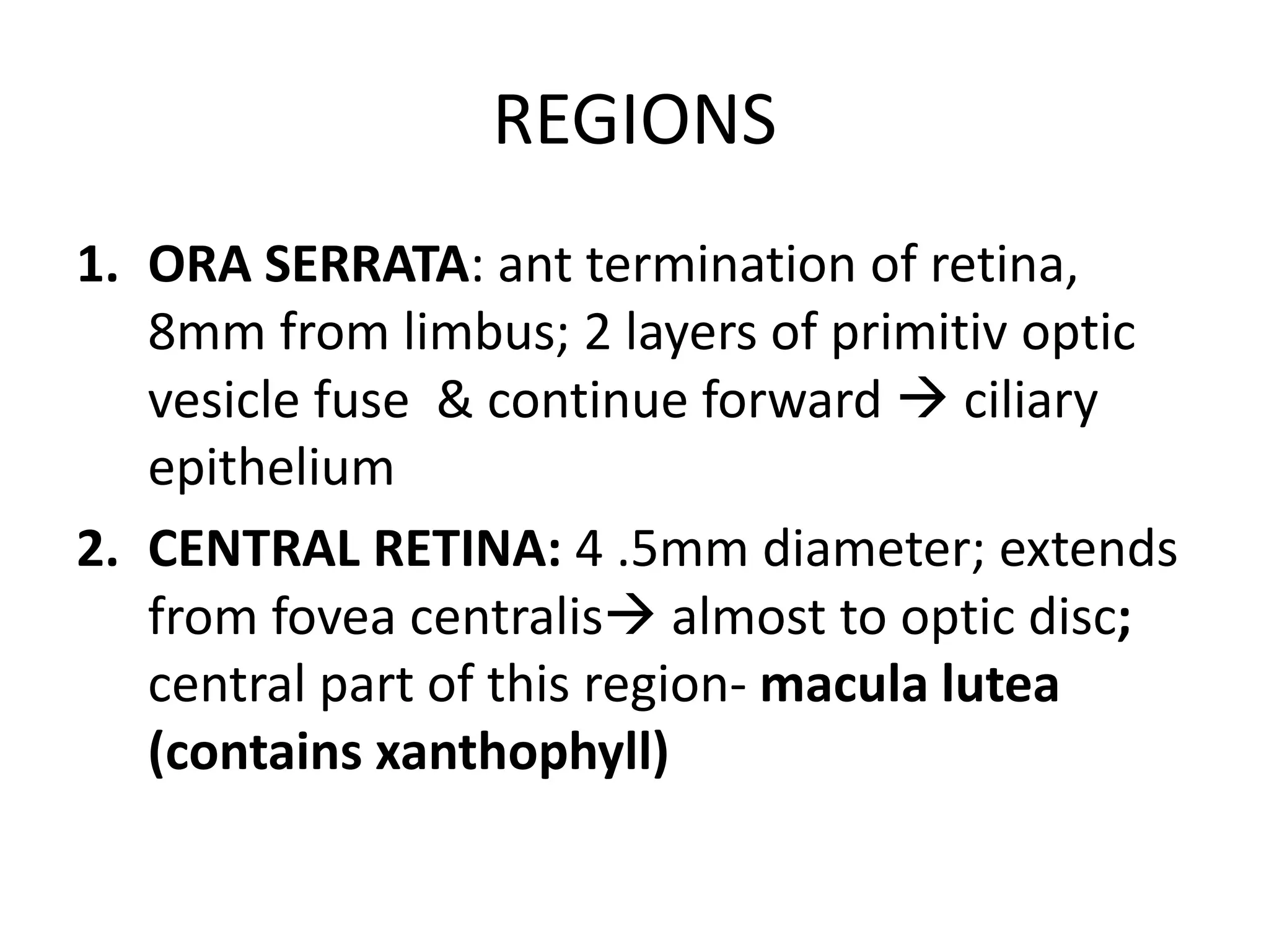 anatomy of eye copy.pptx