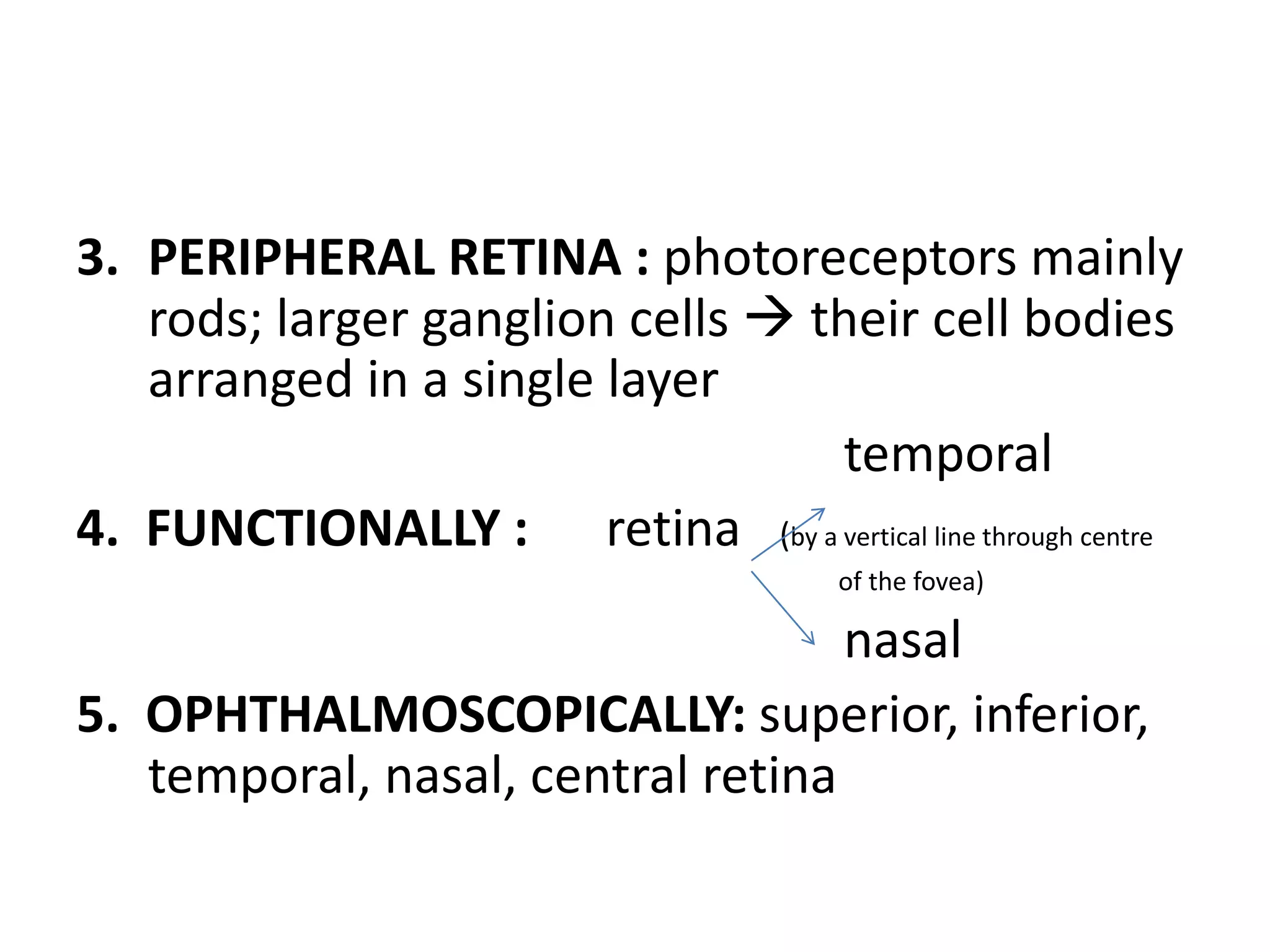 anatomy of eye copy.pptx