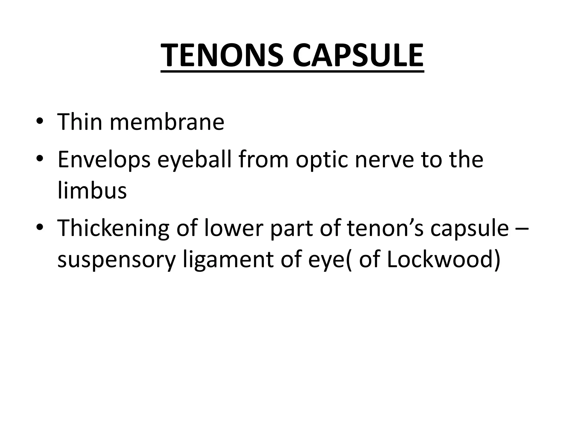 anatomy of eye copy.pptx