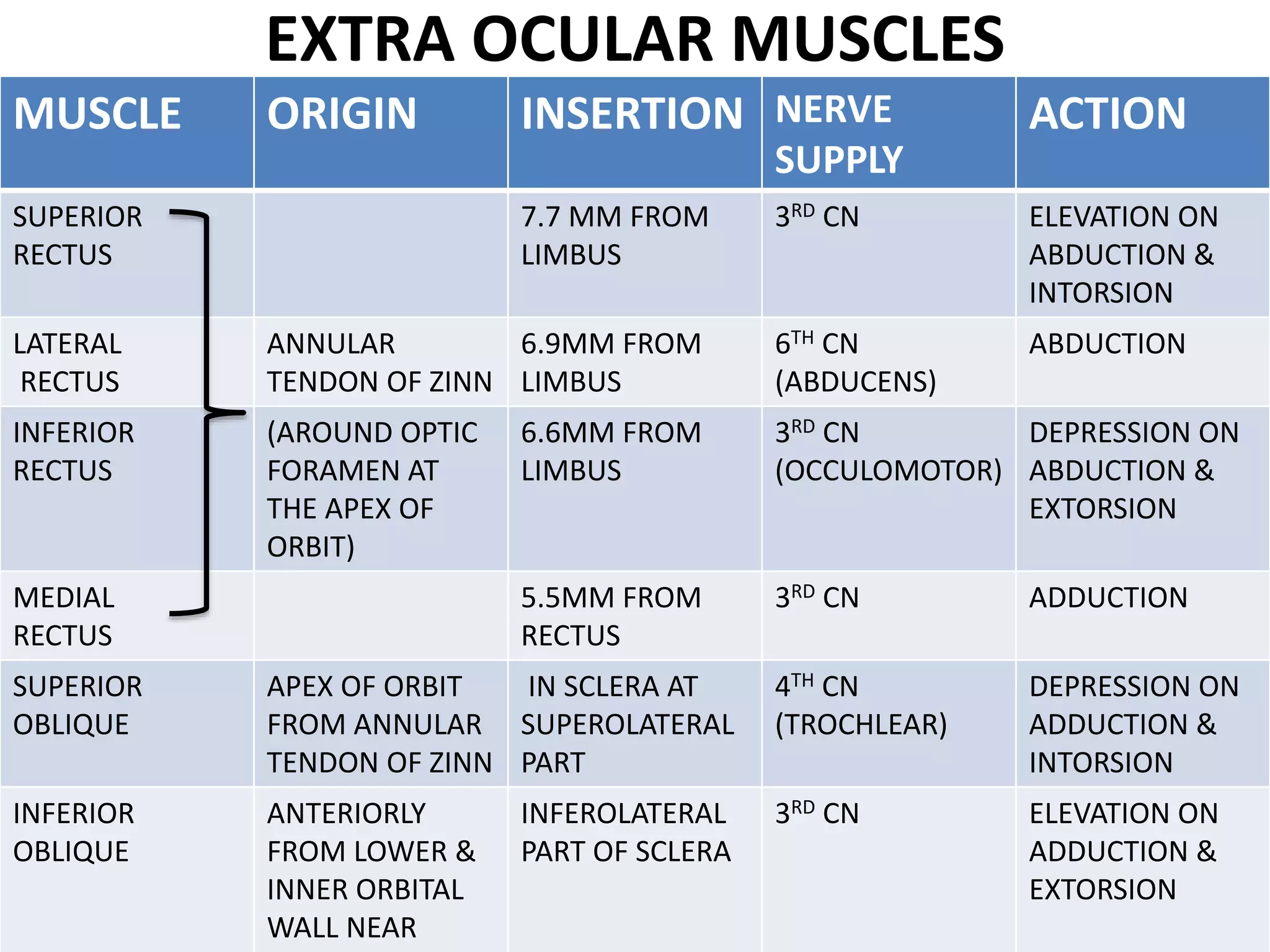 anatomy of eye copy.pptx