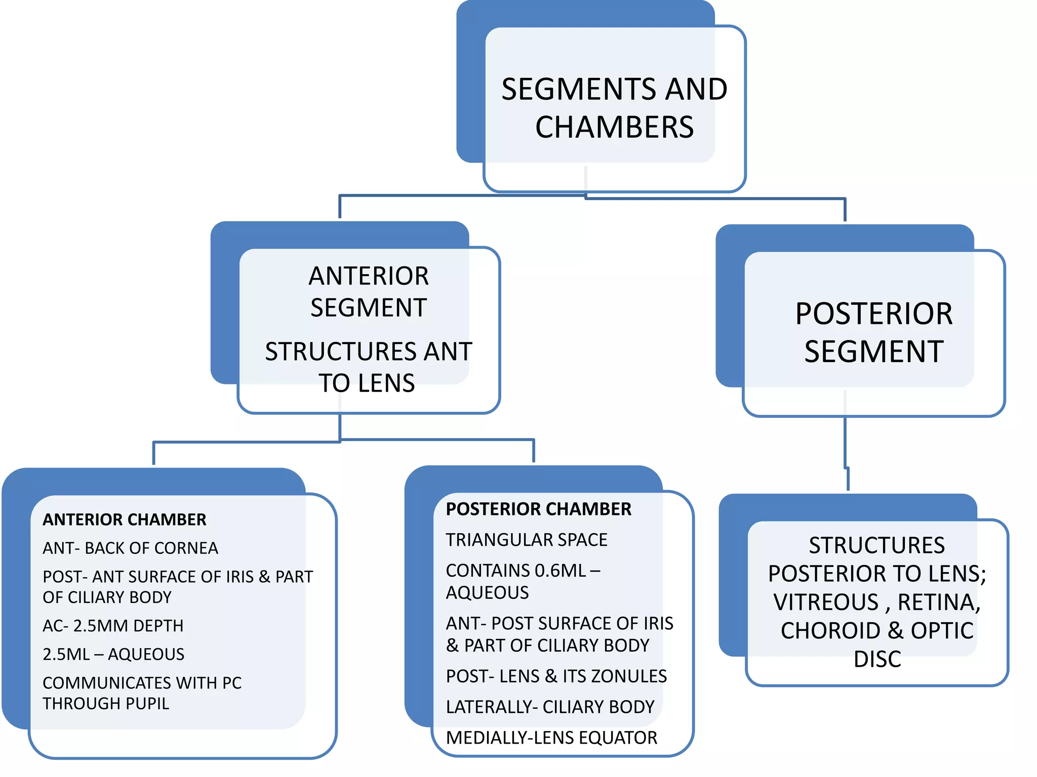 anatomy of eye copy.pptx