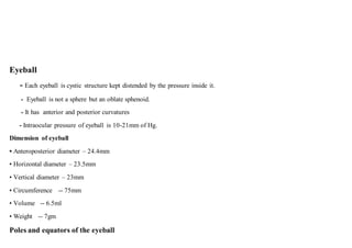 anatomy of eye final.docx