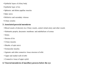 anatomy of eye final.docx