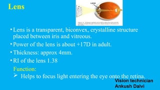Anatomy_of_eye_ .ppt | Eye and Vision Conditions | Diseases and Conditions