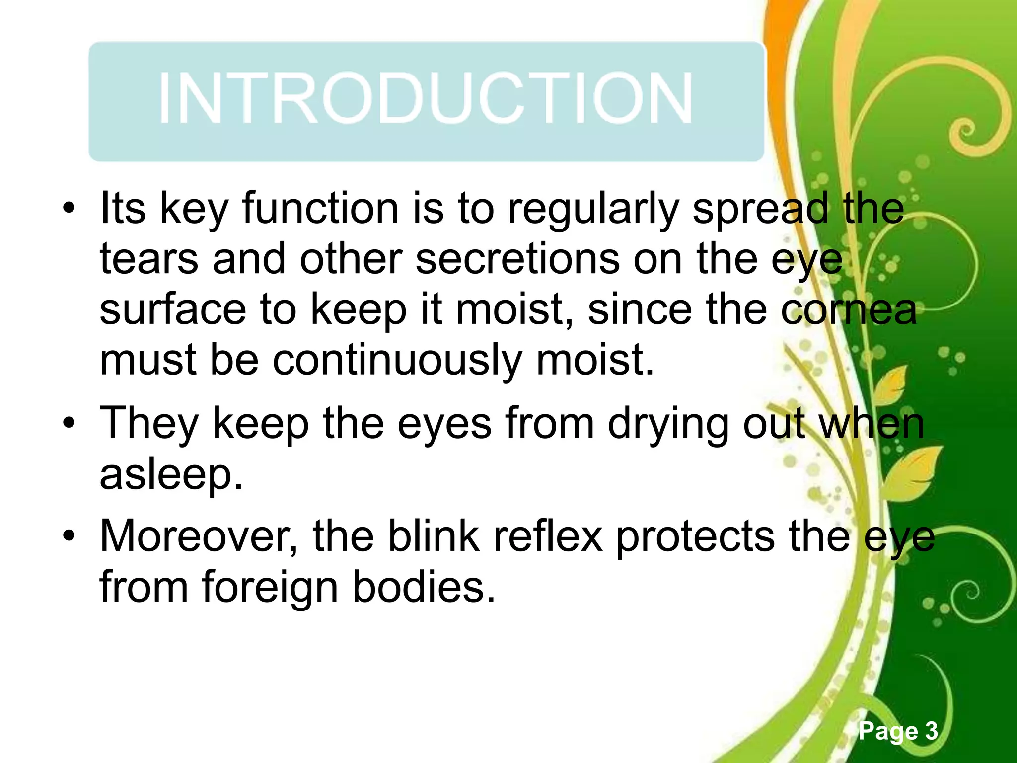 Anatomyofeyelid 110601165343-phpapp02-converted | PPTX