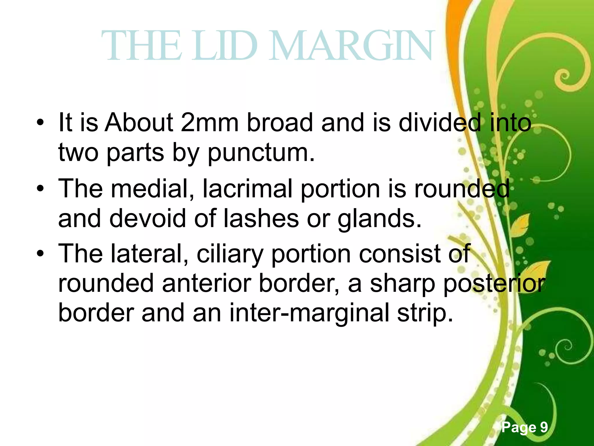 Anatomyofeyelid 110601165343-phpapp02-converted | PPTX