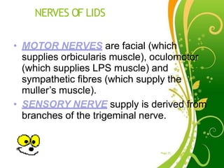 Anatomyofeyelid 110601165343-phpapp02-converted | PPTX