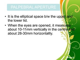 Anatomyofeyelid 110601165343-phpapp02-converted | PPTX