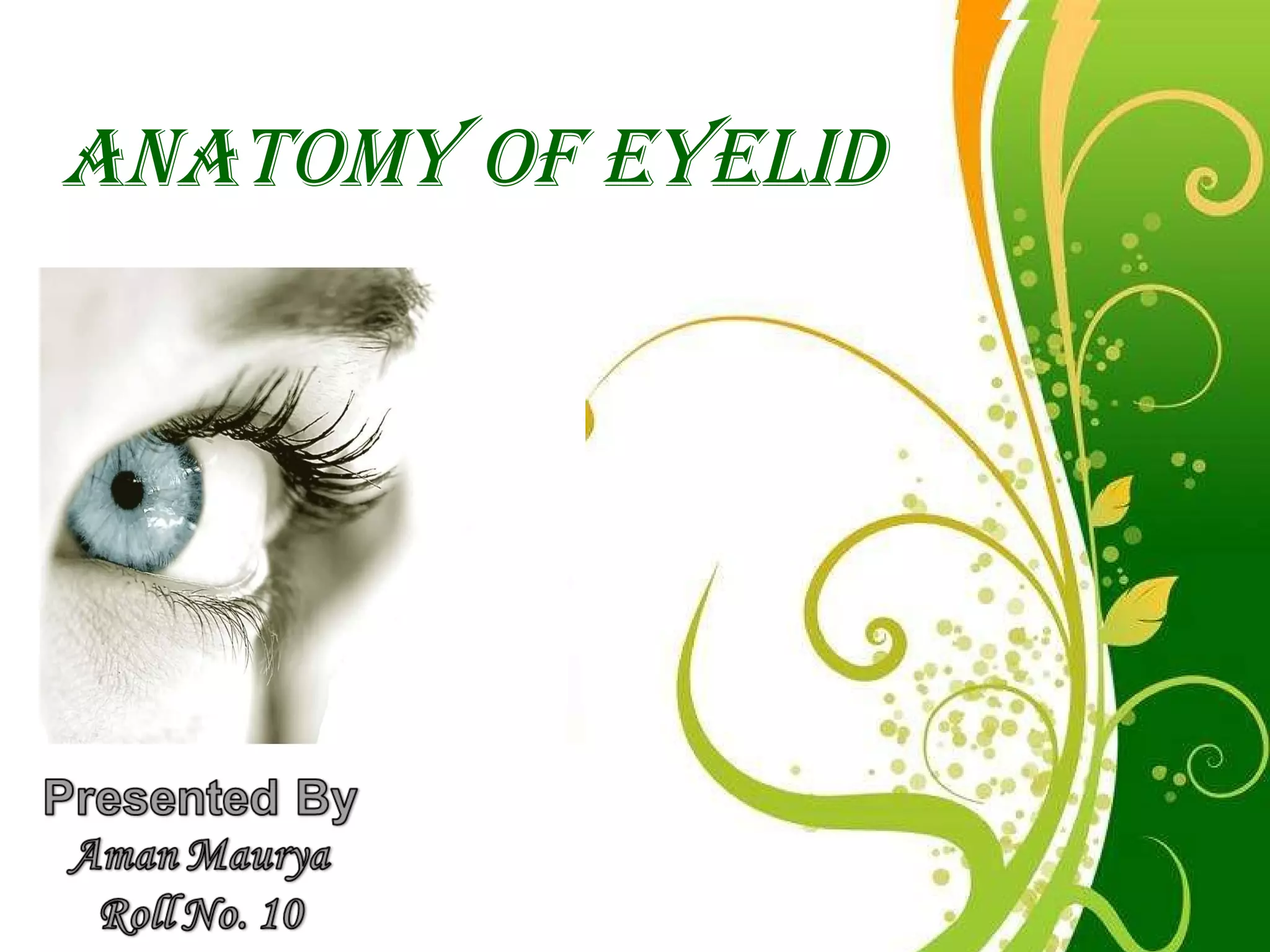 Anatomy of eyelid | PPT
