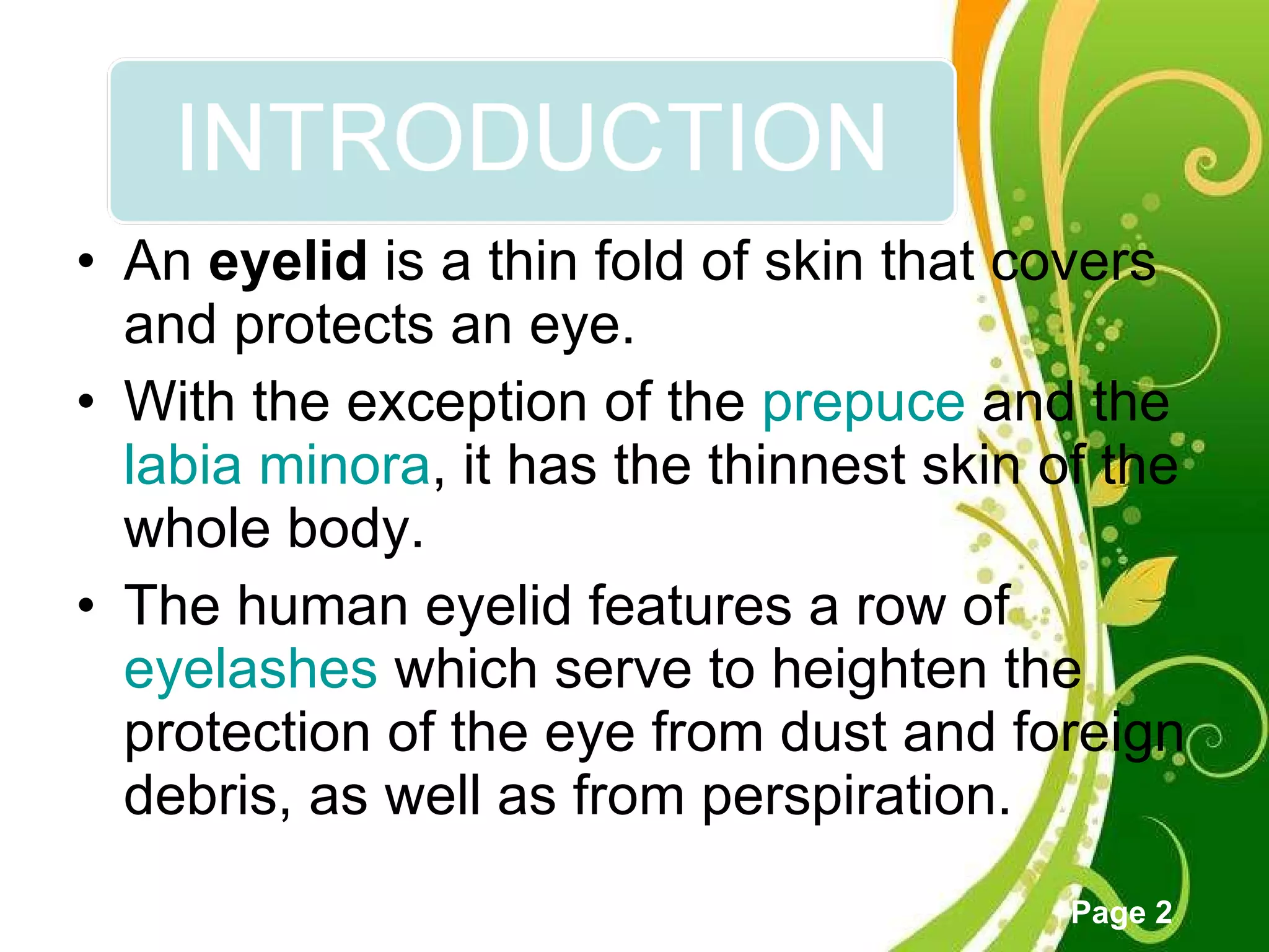 Anatomy of eyelid | PPT