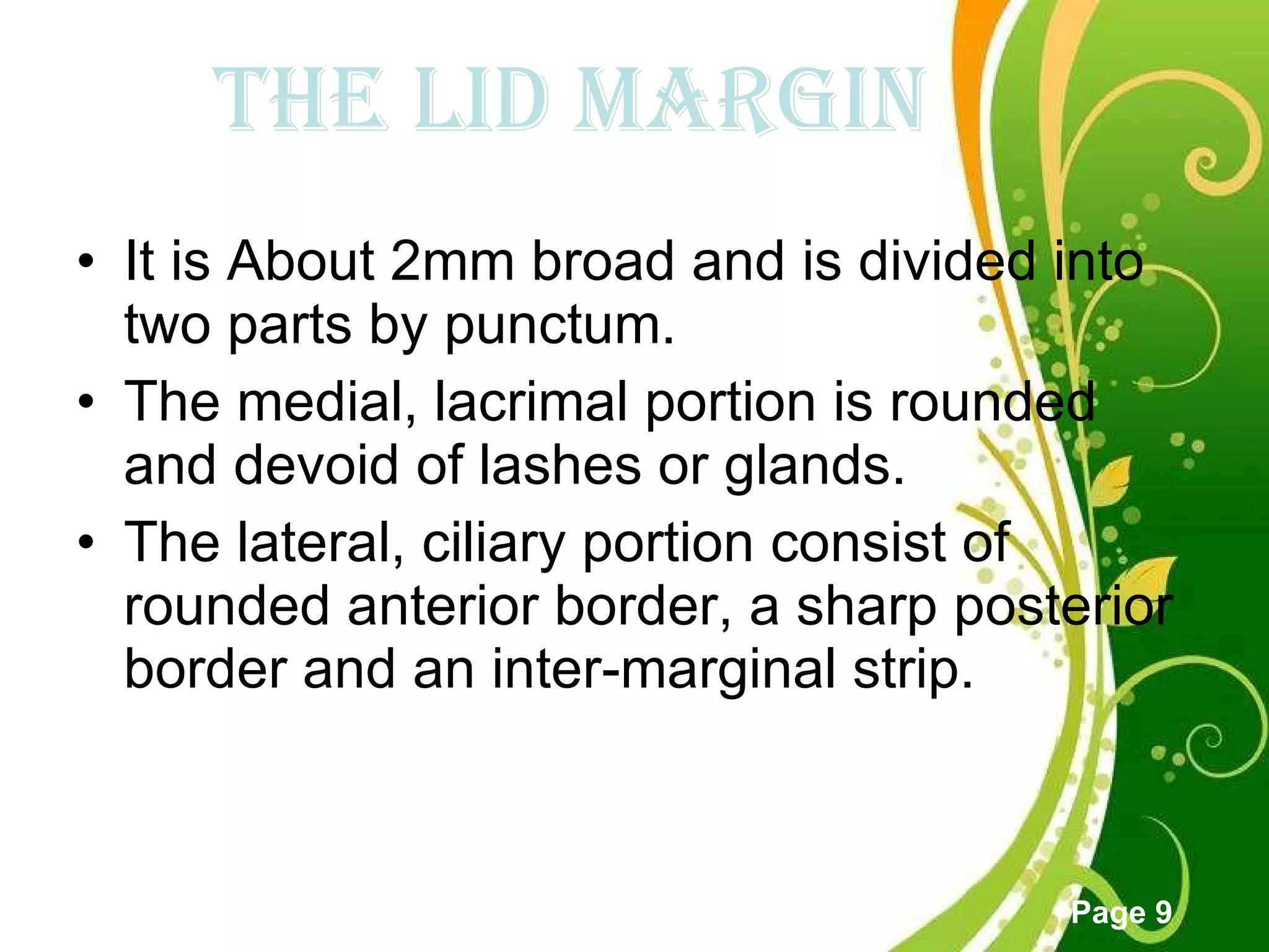 Anatomy of eyelid | PPT