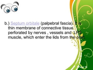 Anatomy of eyelid | PPT