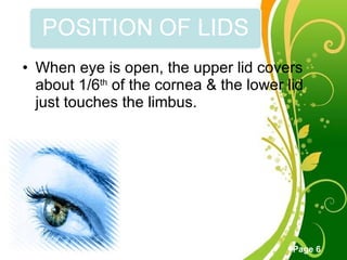 Anatomy of eyelid | PPT