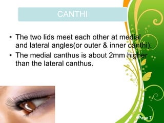 Anatomy of eyelid | PPT