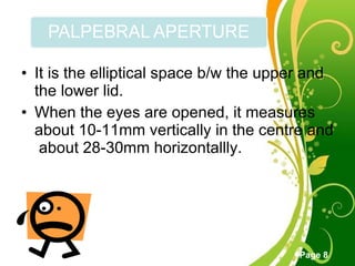 Anatomy of eyelid | PPT
