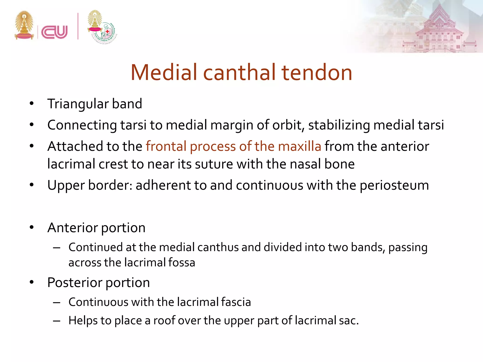 Anatomy of Eyelid | PDF