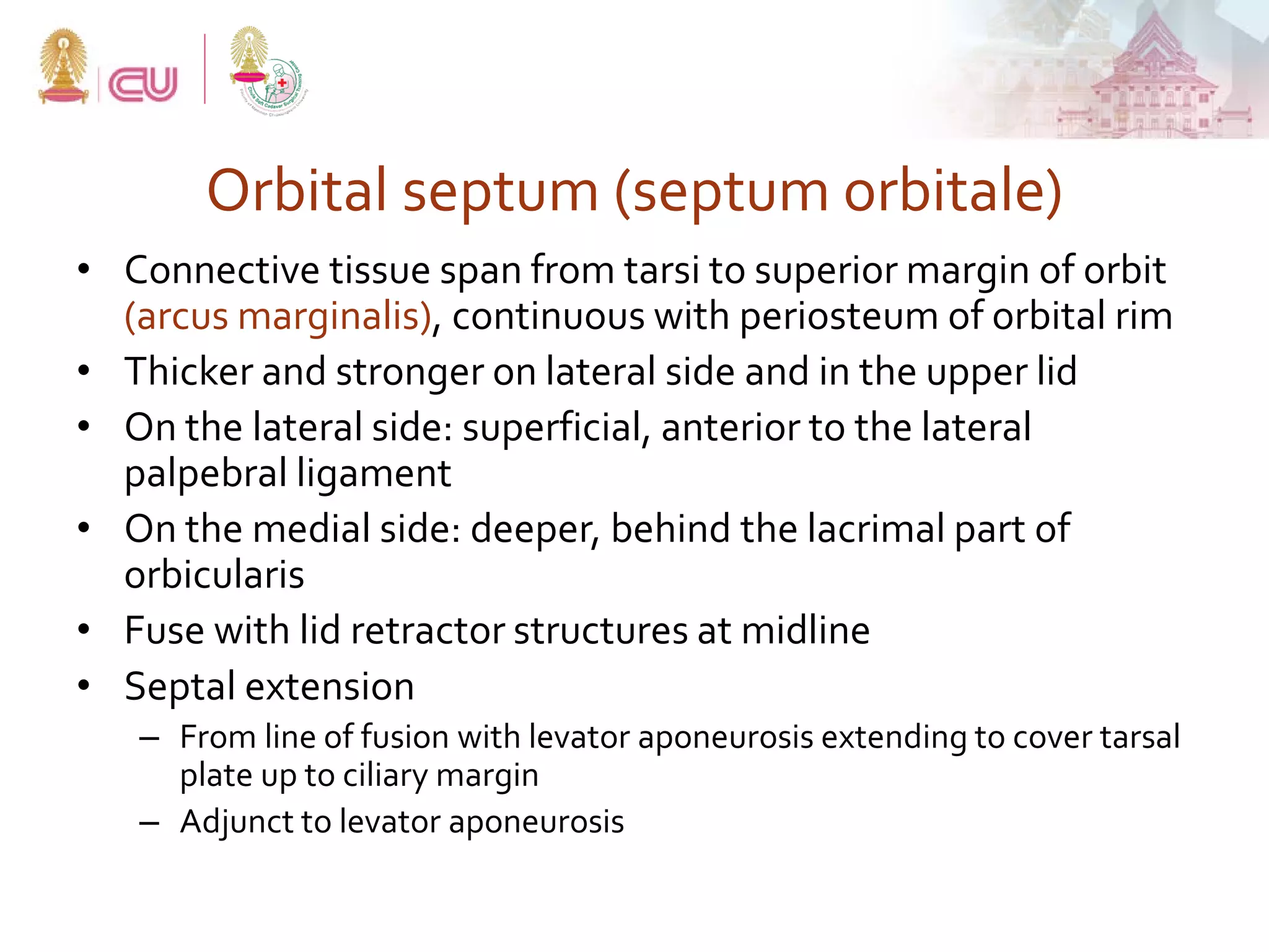 Anatomy of Eyelid | PDF