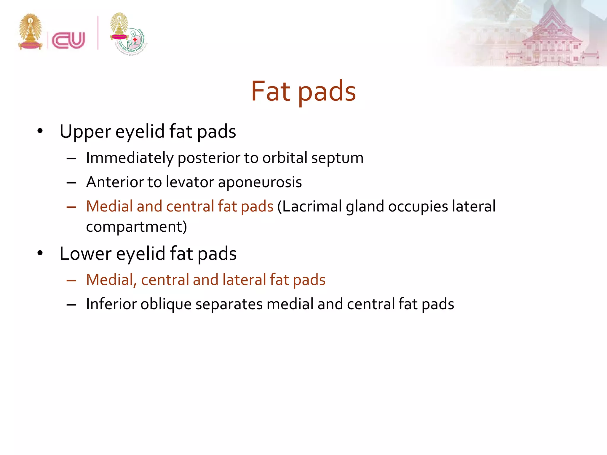Anatomy of Eyelid | PDF