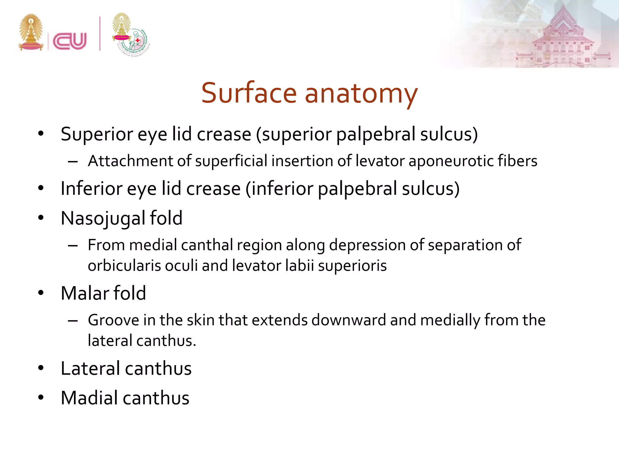 Anatomy of Eyelid | PDF