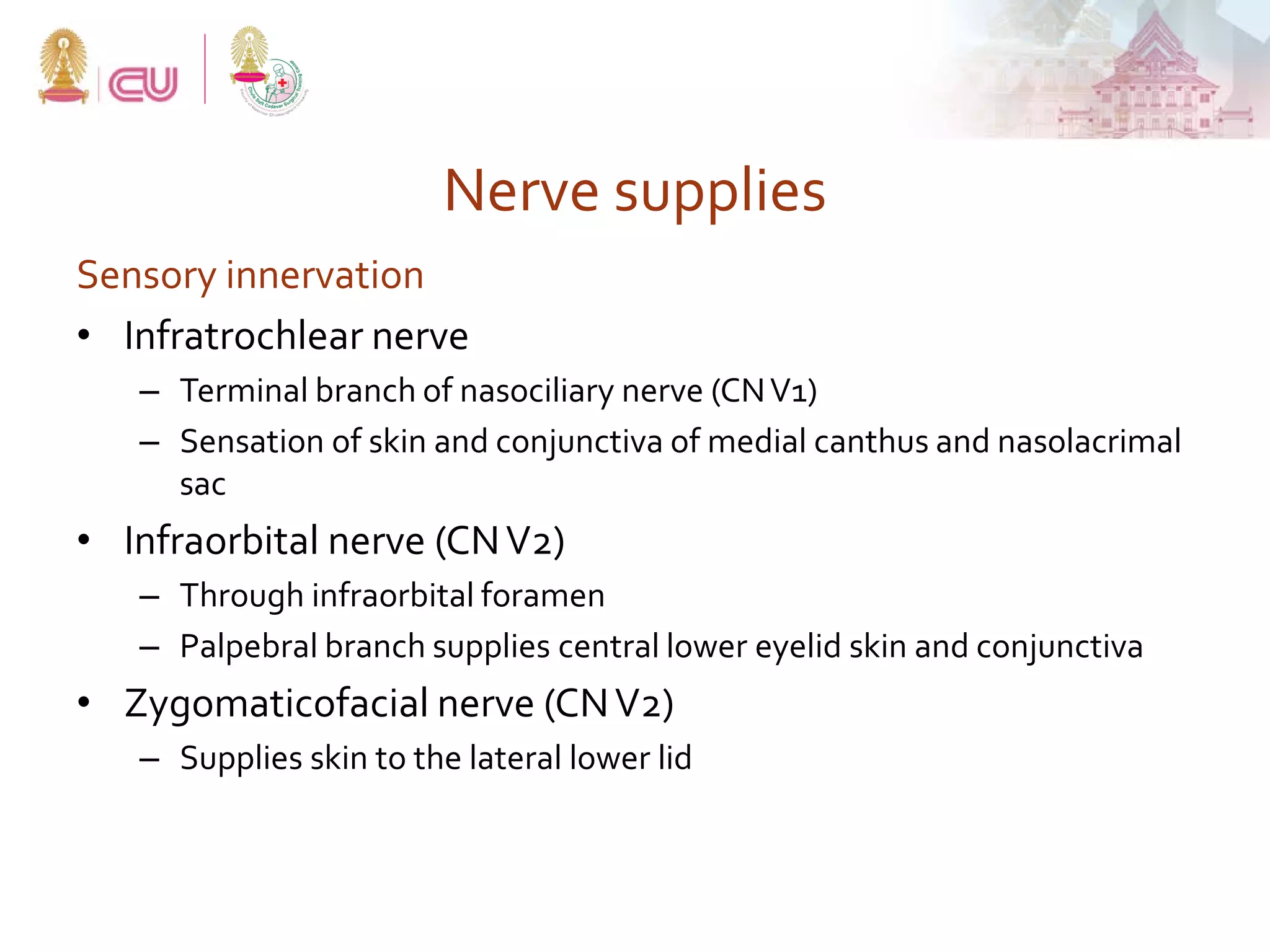 Anatomy of Eyelid | PDF