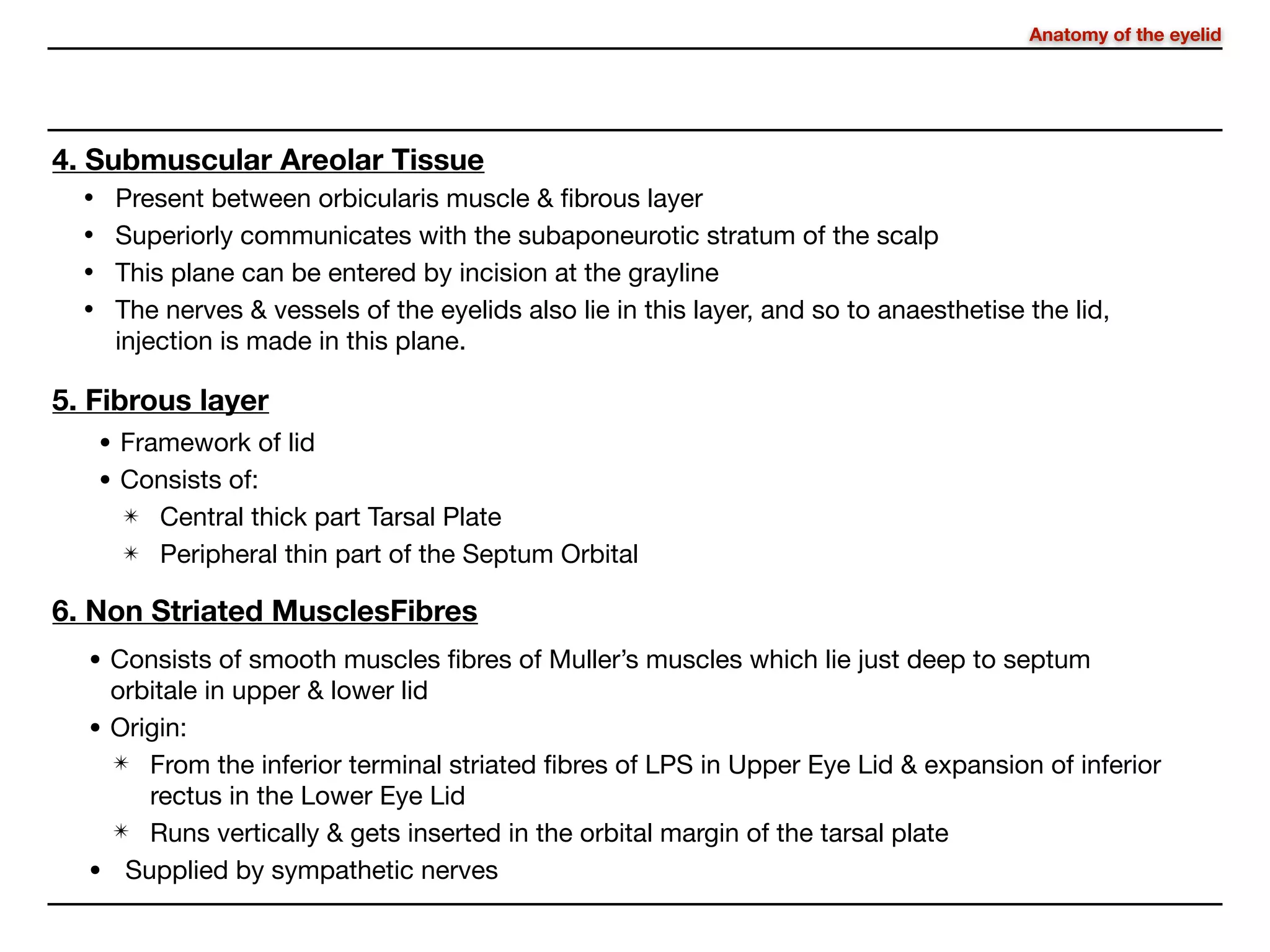Anatomy of eyelid | PDF