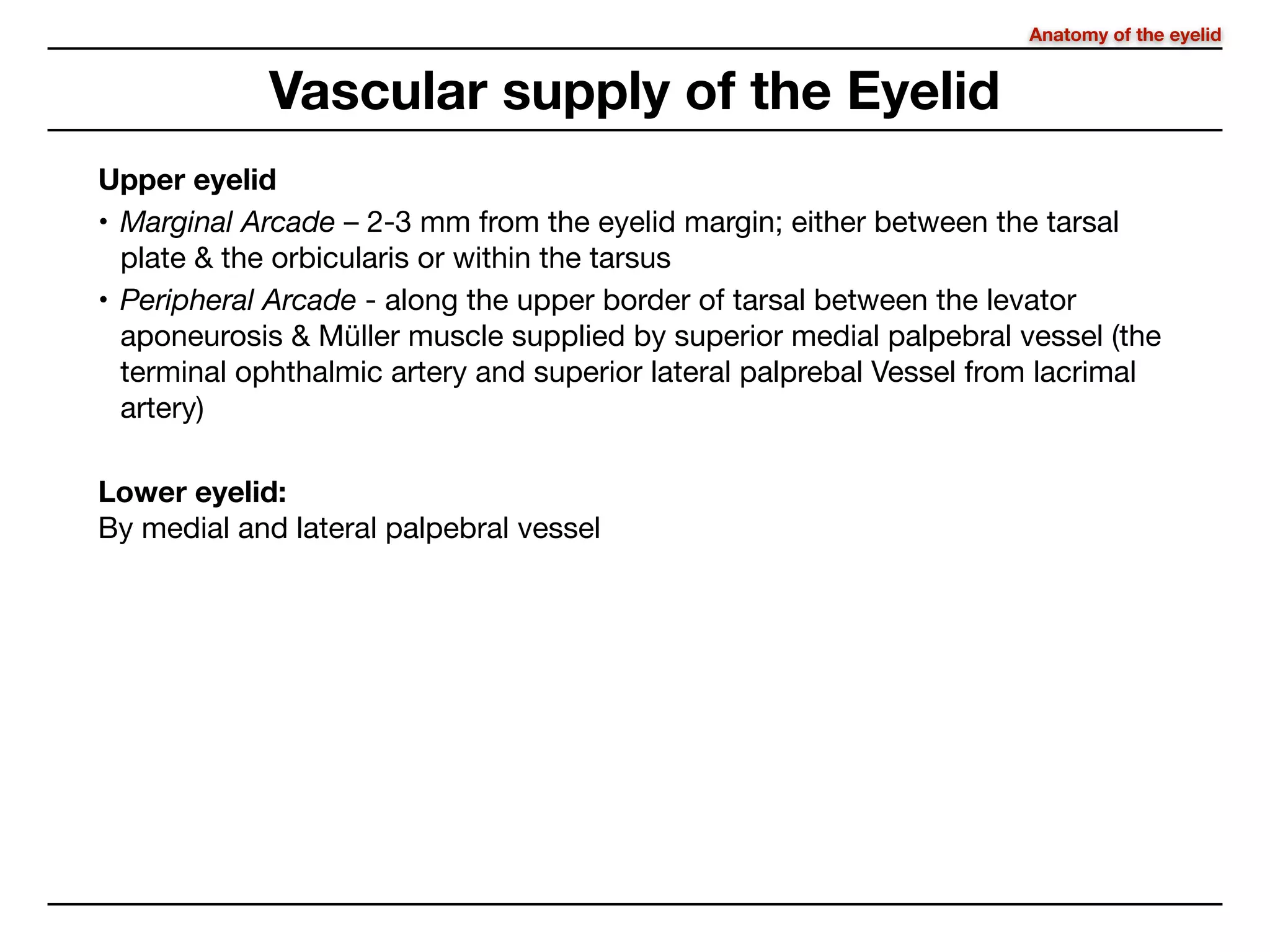 Anatomy of eyelid | PDF