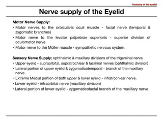 Anatomy of eyelid | PDF