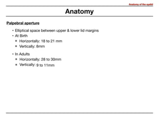 Anatomy of eyelid | PDF
