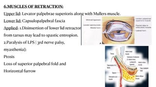 Anatomy of eyelid-ophthalmology MBBS. Description of anatomy of eyelid ...