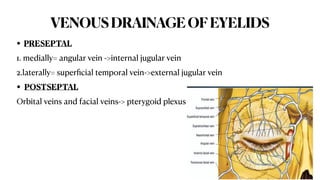 Anatomy of eyelid-ophthalmology MBBS. Description of anatomy of eyelid ...