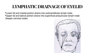Anatomy of eyelid-ophthalmology MBBS. Description of anatomy of eyelid ...