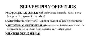 Anatomy of eyelid-ophthalmology MBBS. Description of anatomy of eyelid ...