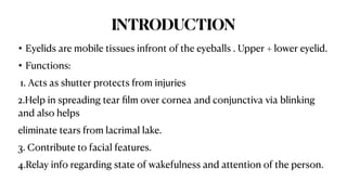 Anatomy of eyelid-ophthalmology MBBS. Description of anatomy of eyelid ...