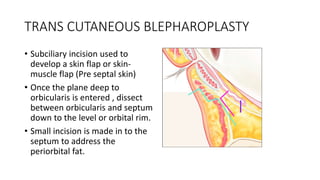 Anatomy Of Eyelid And Blepharoplasty.pptx